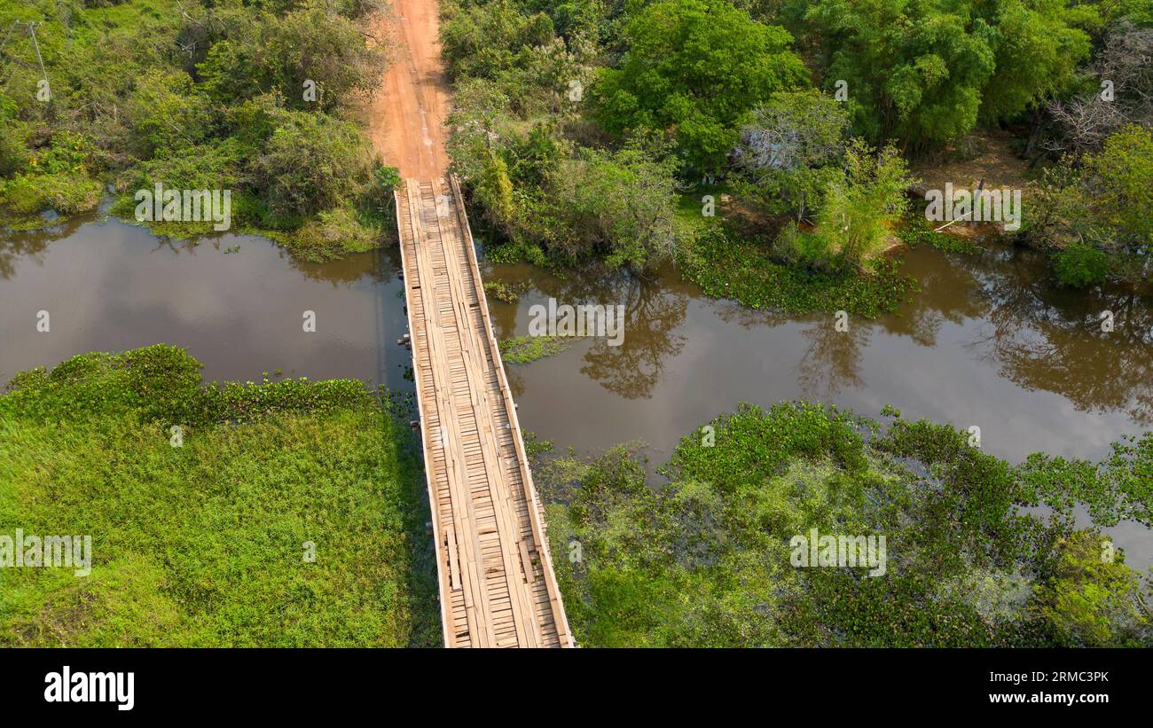Bridge over a river crossing the thick vegetation, forest and flooded ...