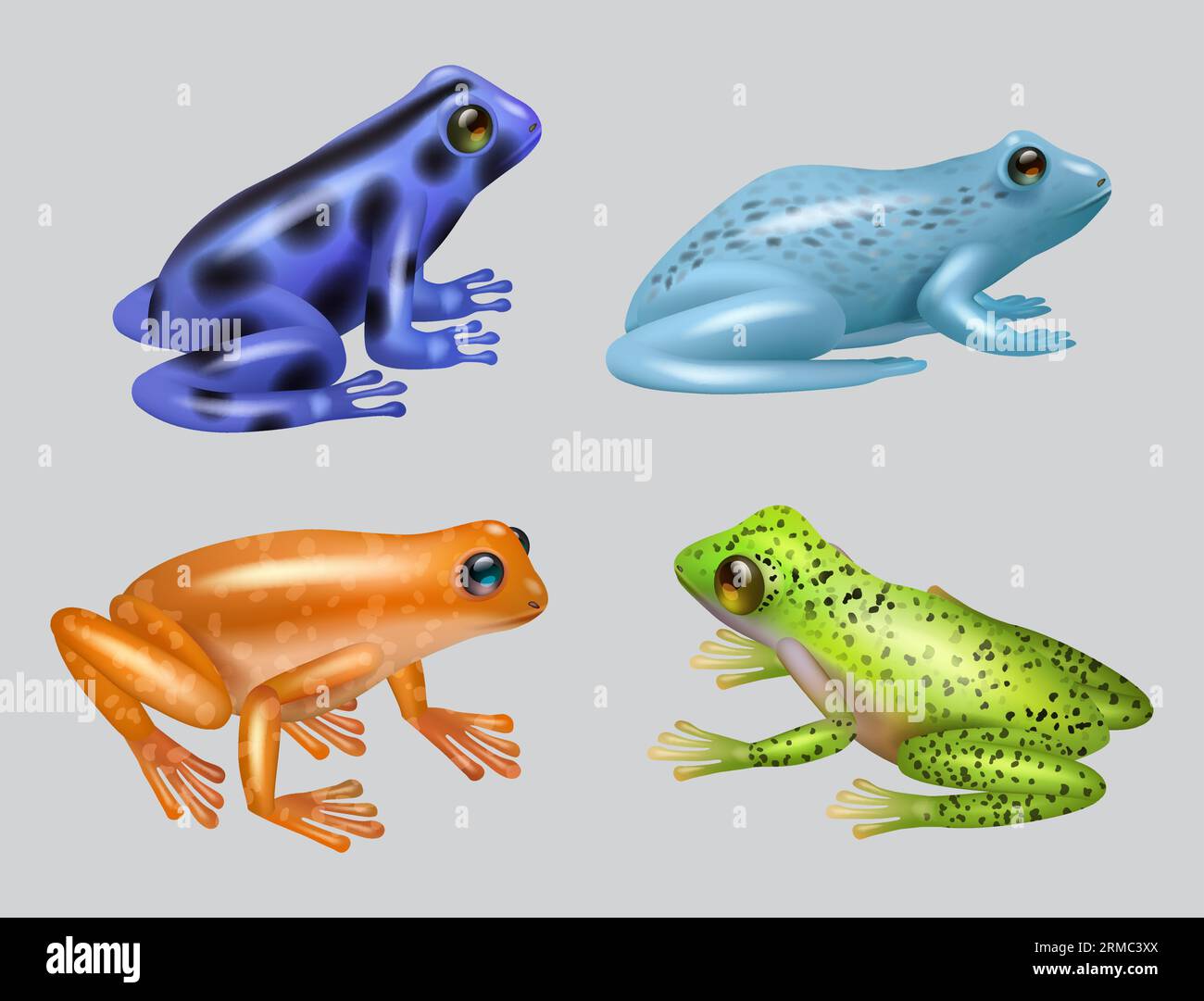 Frogs. Animal set of wild nature amphibian breeds decent vector ...