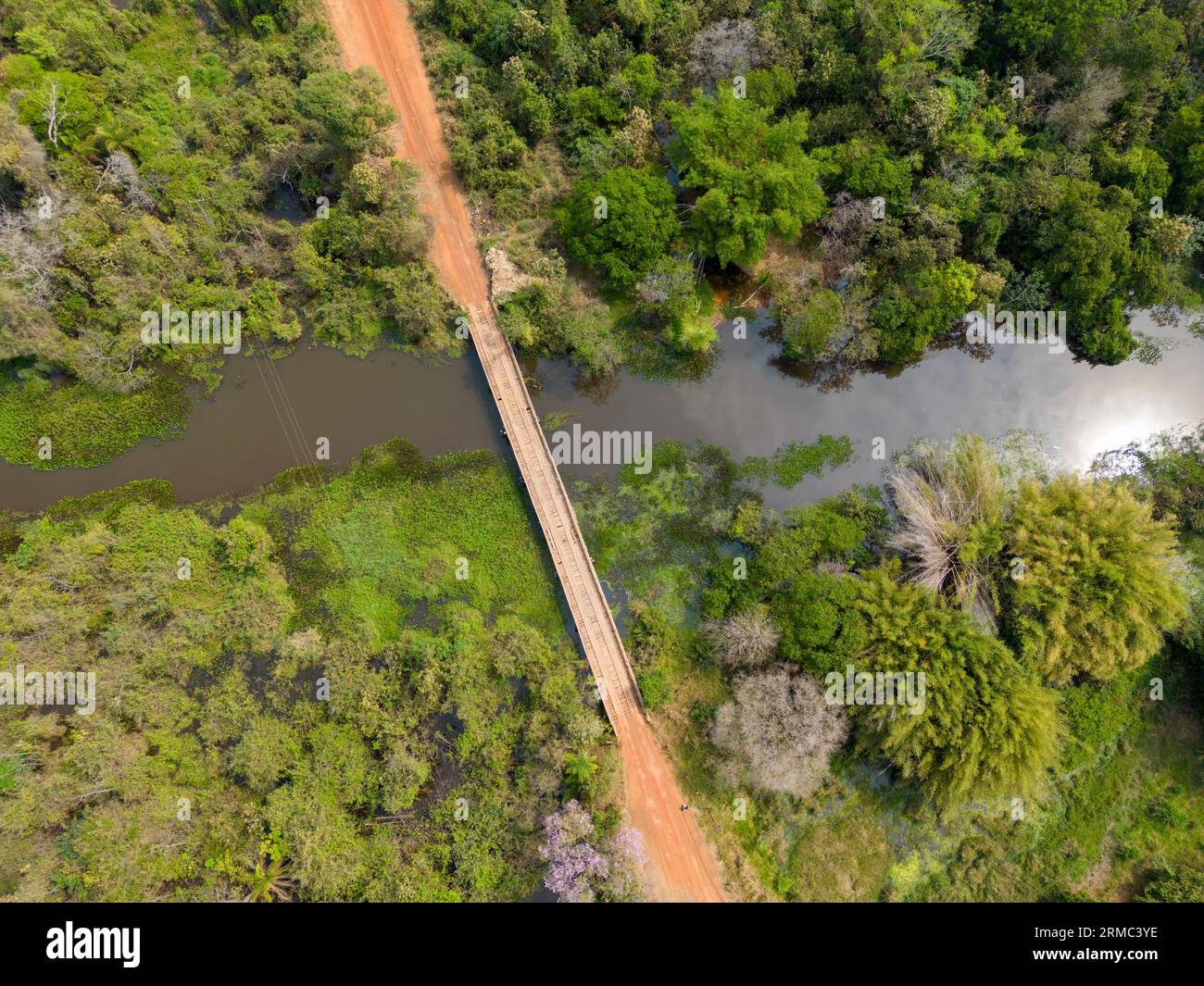 Bridge over a river crossing the thick vegetation, forest and flooded ...