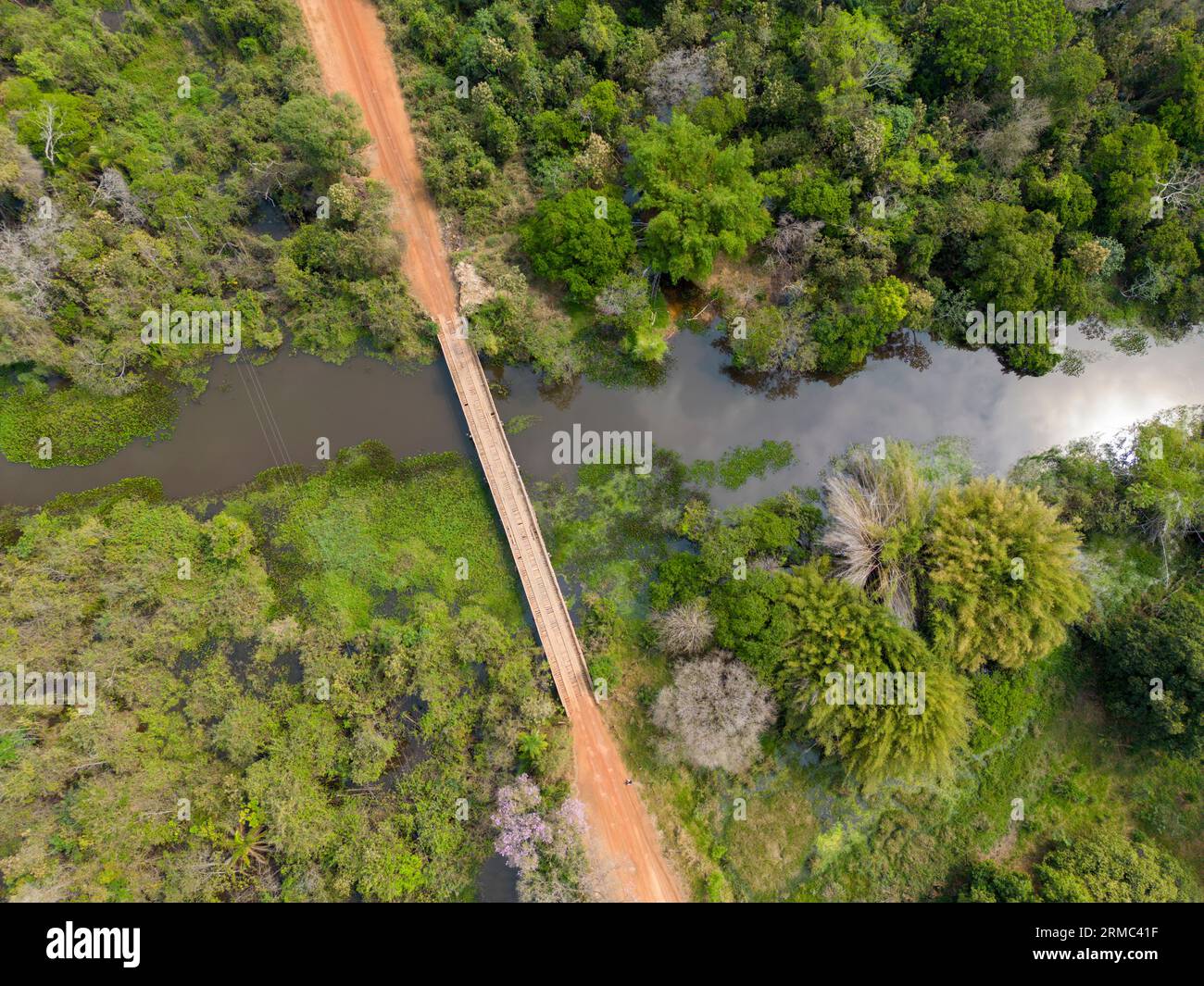 Bridge over a river crossing the thick vegetation, forest and flooded ...