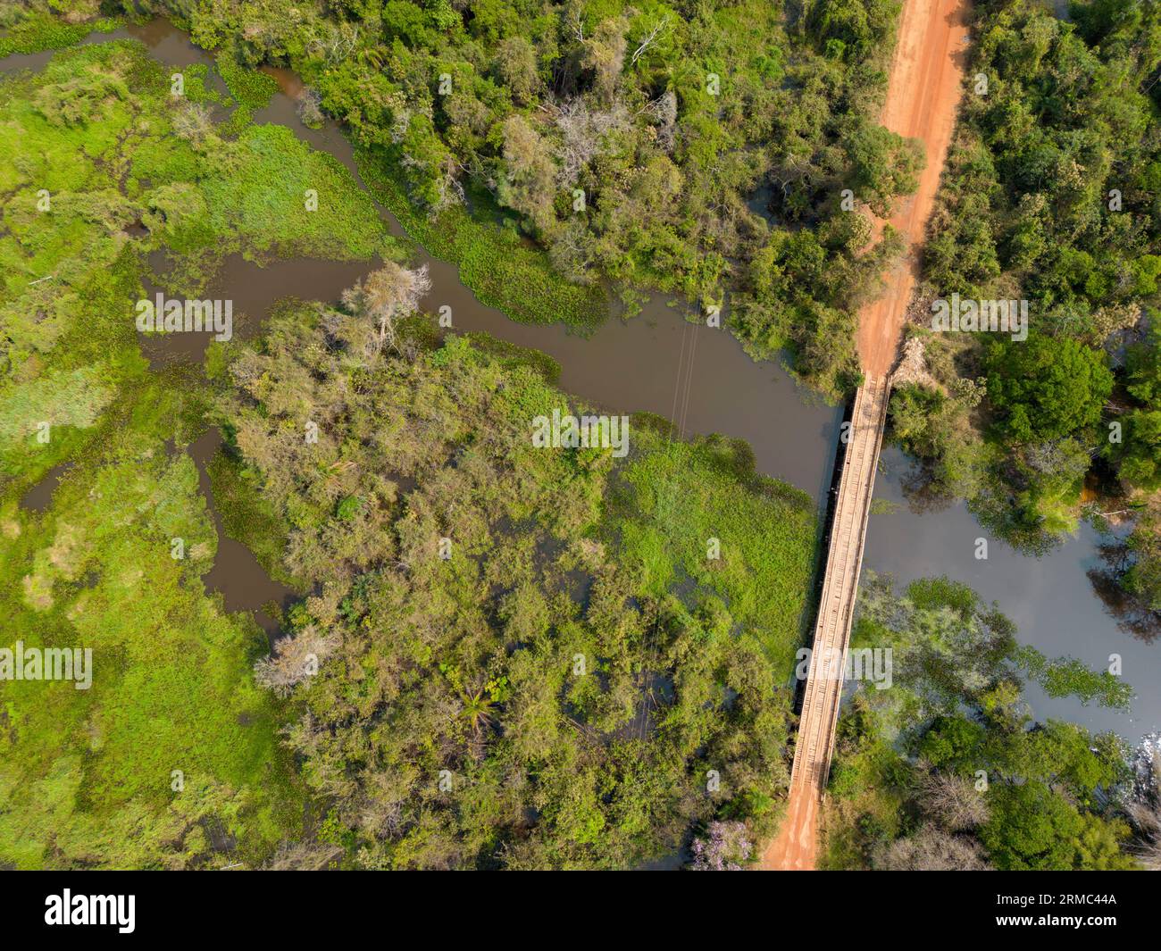 Bridge over a river crossing the thick vegetation, forest and flooded ...