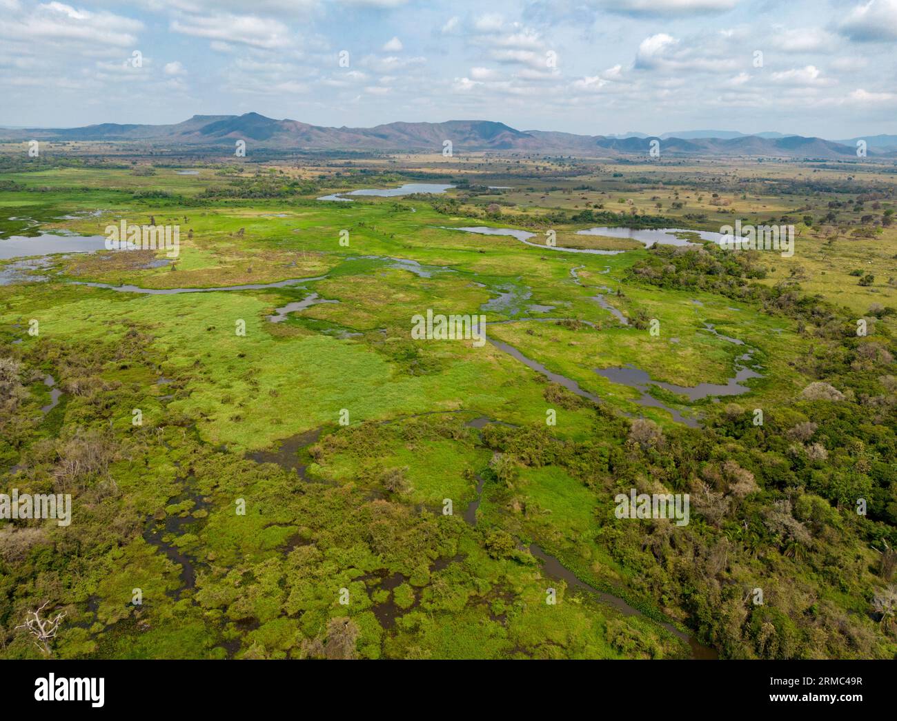 Flooded grasslands and savannas hi-res stock photography and images - Alamy