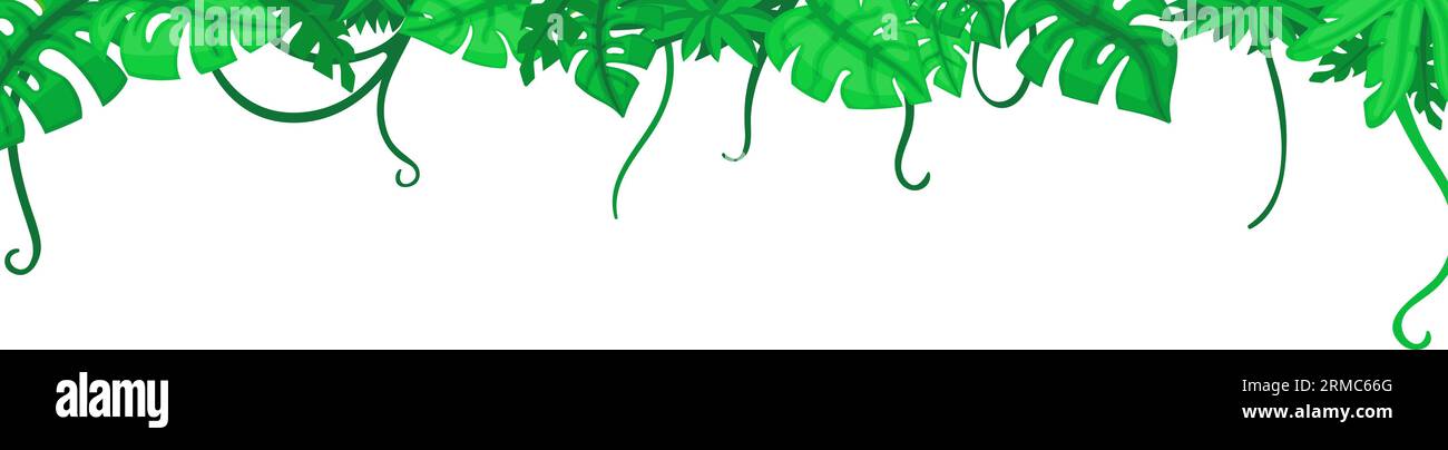 Cartoon Jungle Leaves