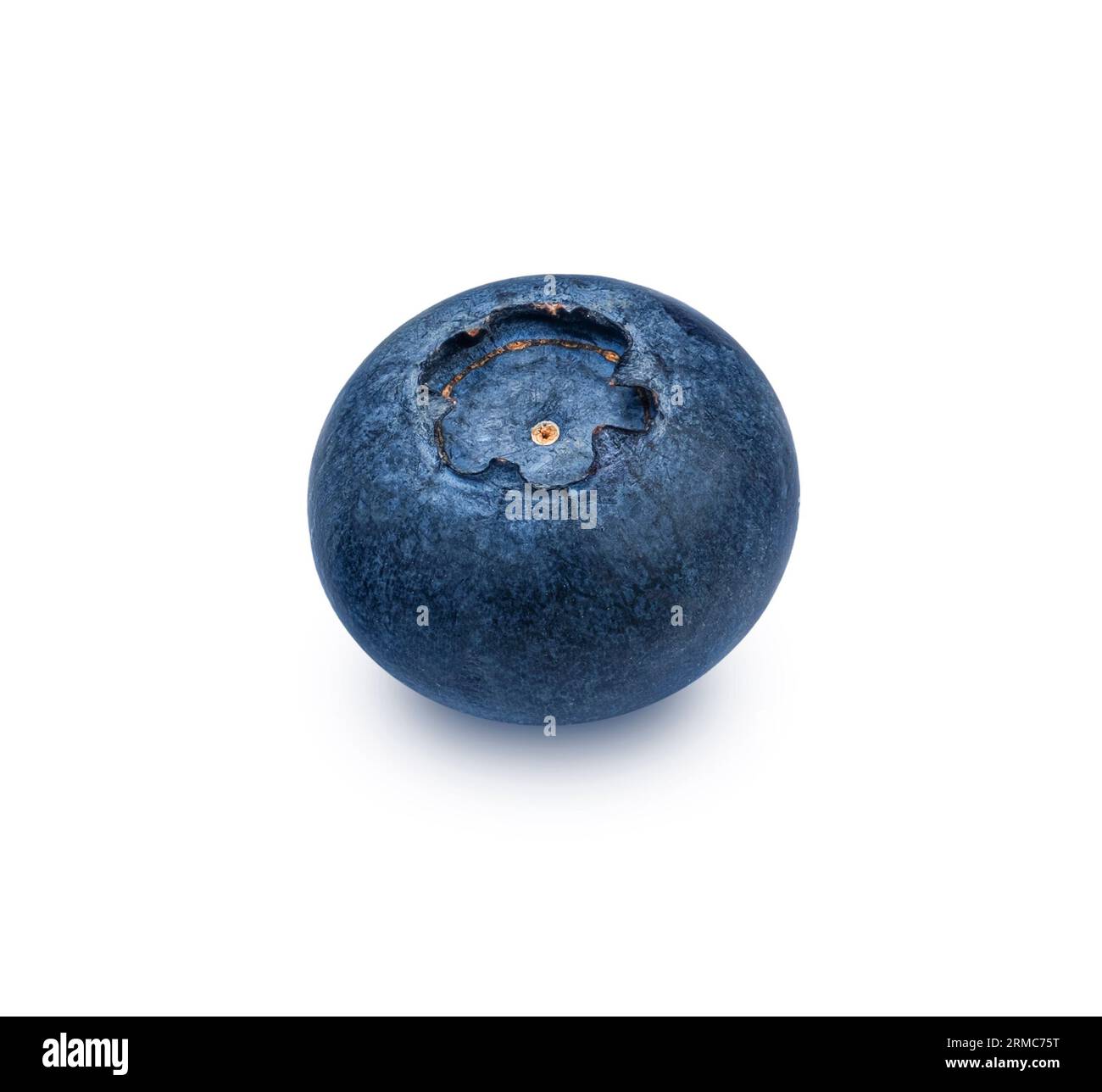 One blueberry isolated on white background, full depth of field Stock ...