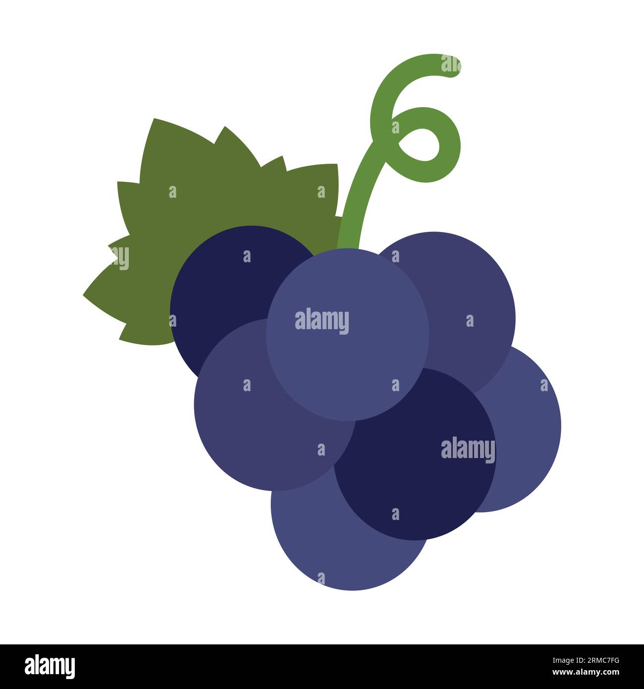 Grapes fast food Stock Vector Images - Alamy
