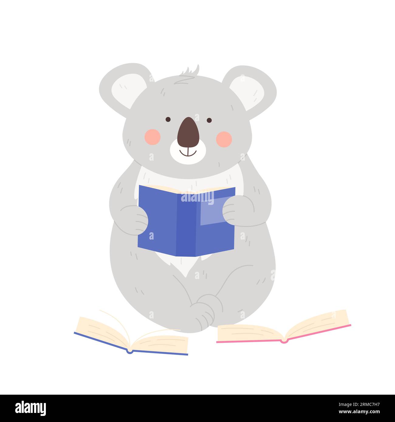 Cute grey koala bear reading books. Wild exotic animal learning skills ...