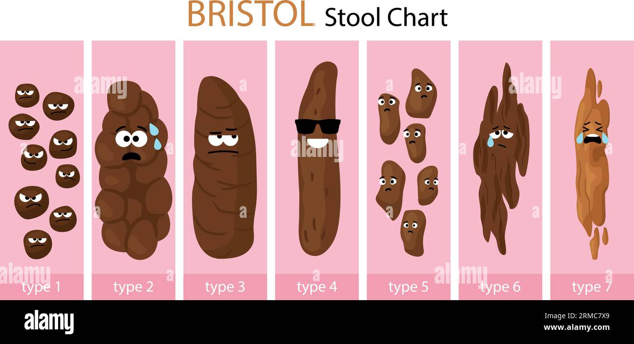 A set of various types human feces - constipation, normal and diarrhea ...