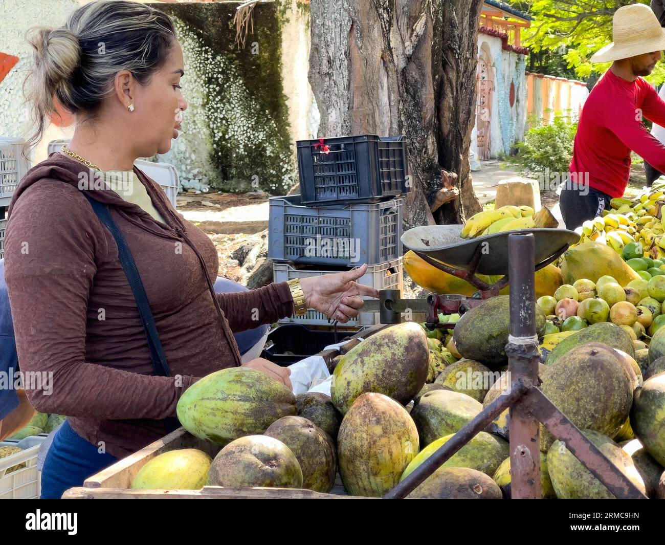 Selling mango hi-res stock photography and images - Alamy
