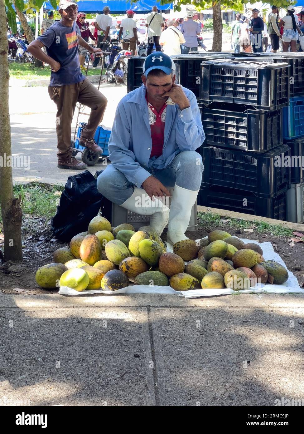 Man selling mangoes hi-res stock photography and images - Alamy