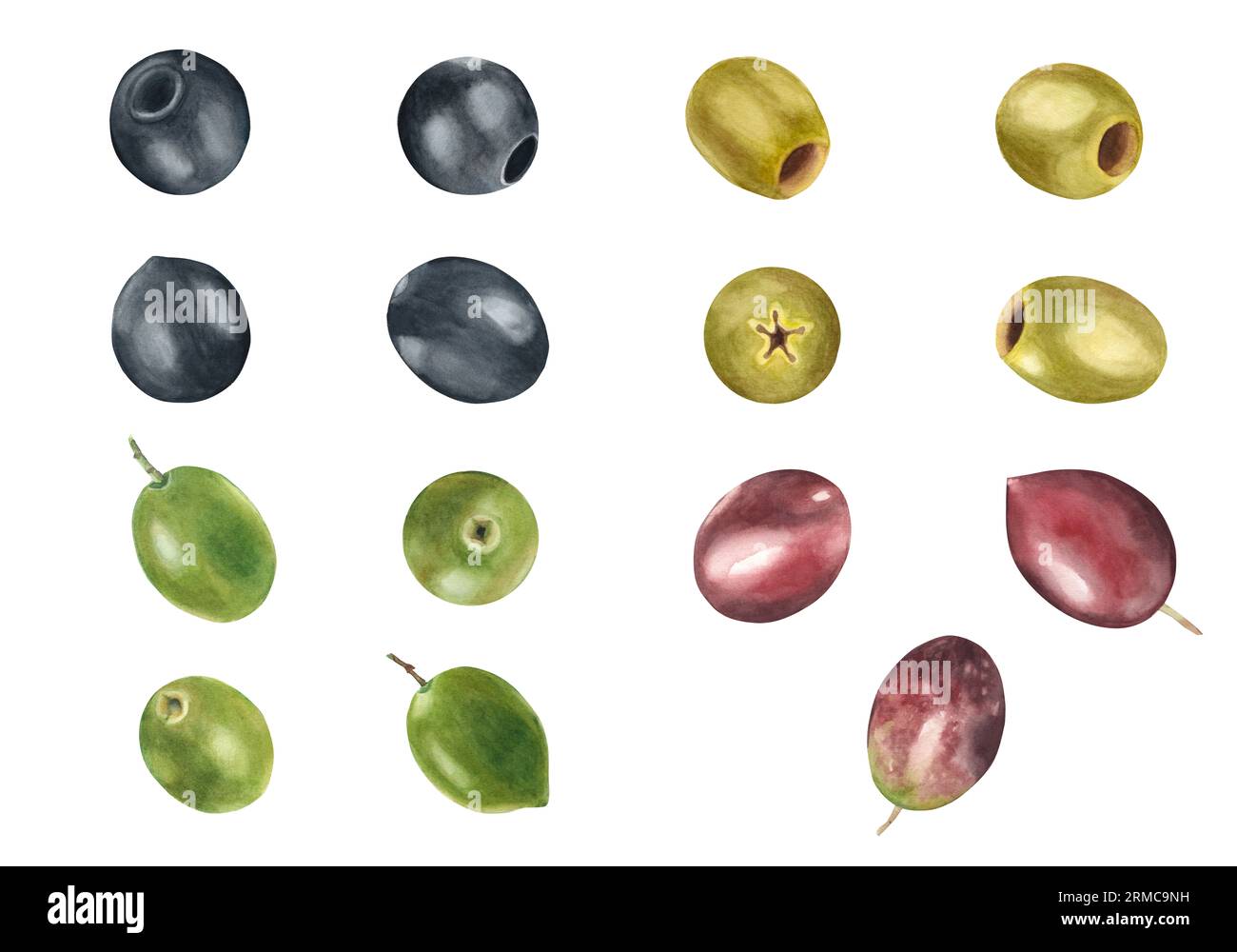 Green, black, red olives set isolated on white background. Watercolor ...