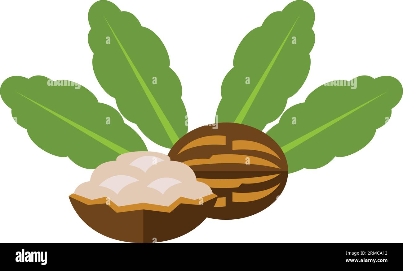 Shea butter Stock Vector Images - Alamy