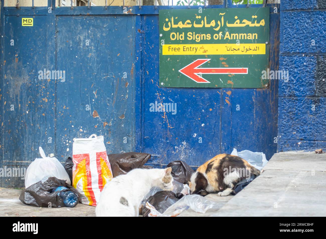 Can scavenging garbage under the sign of Old Signs of Amman Free Entry ...