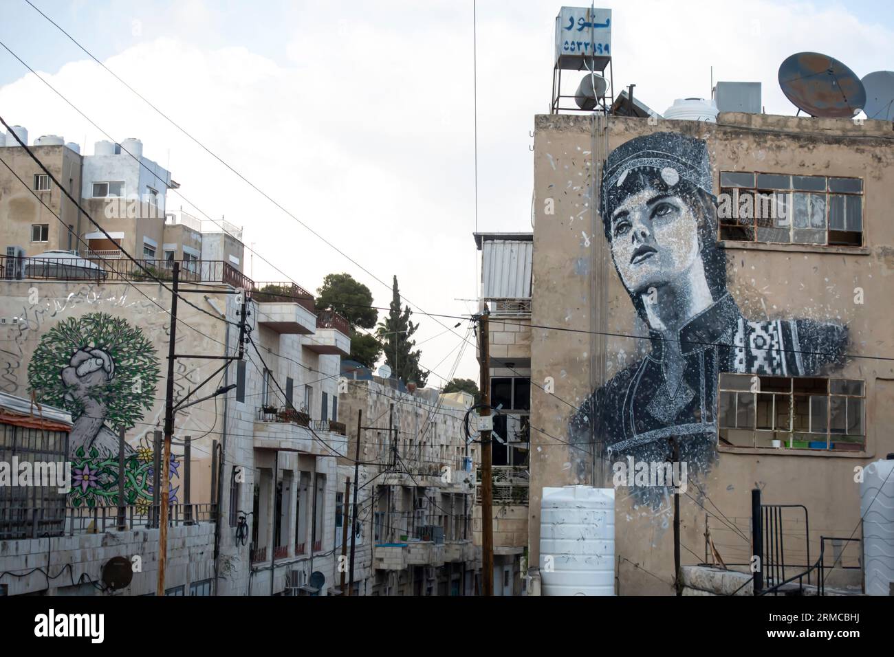 Mural The Plastic Mannequin and the Hybrid Folklore Dress by Jordanian ...