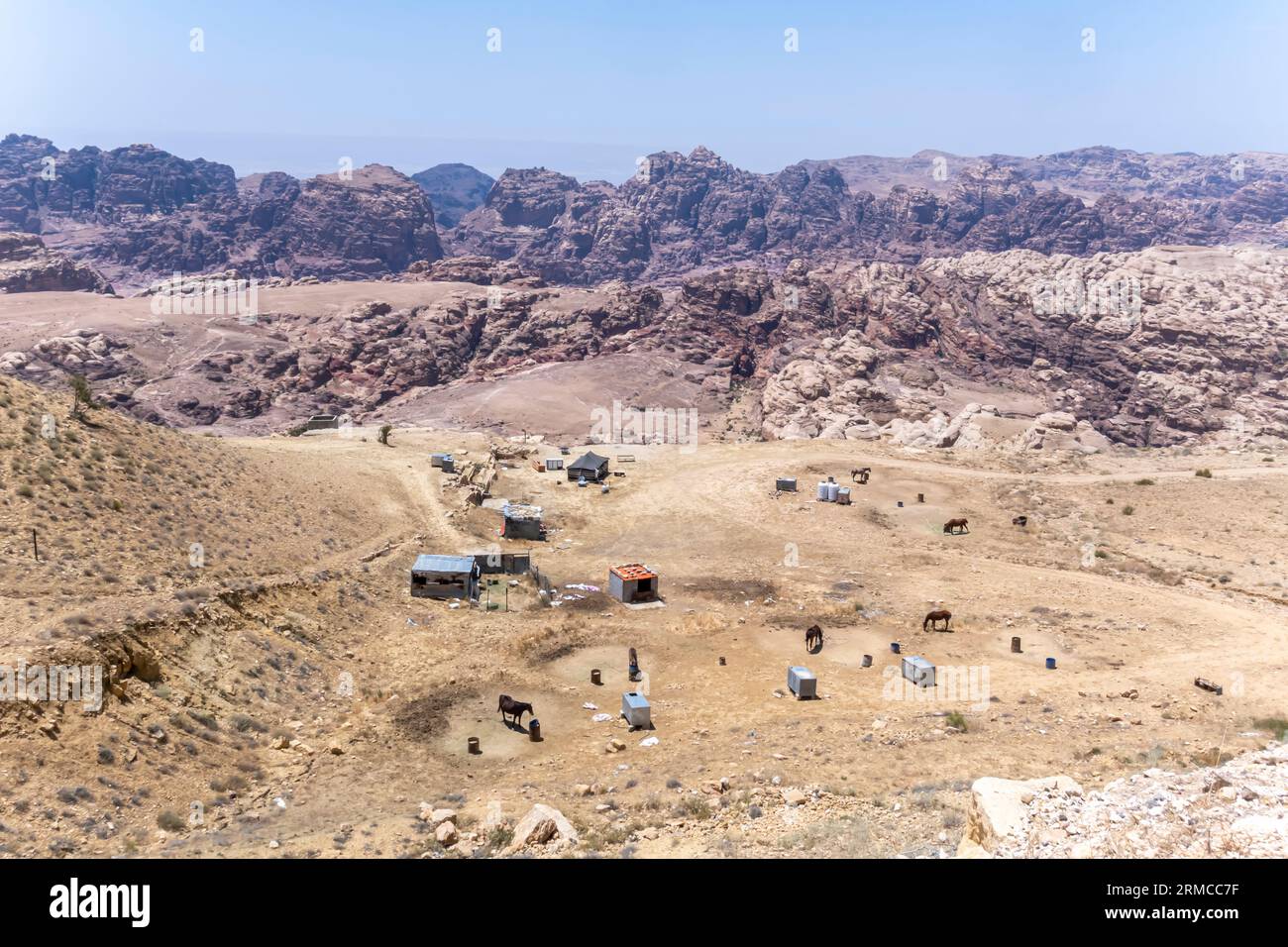 Bedouin horse pasture, horse farm in Wadi Musa Jordan Stock Photo - Alamy