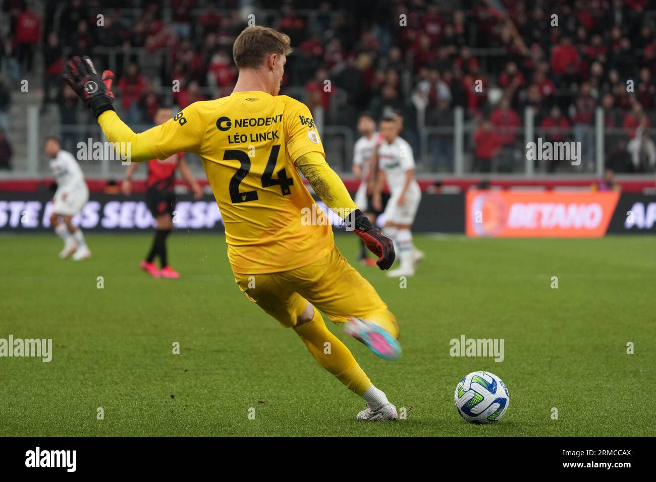 Joaquim americo guimaraes estadio hi-res stock photography and images - Alamy