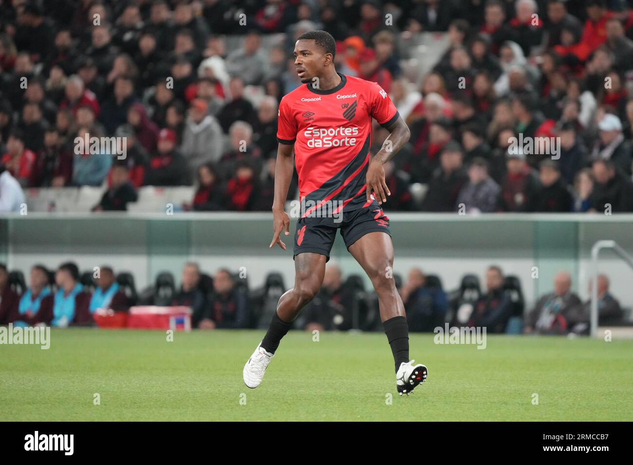 Guimaraes stadium hi-res stock photography and images - Alamy