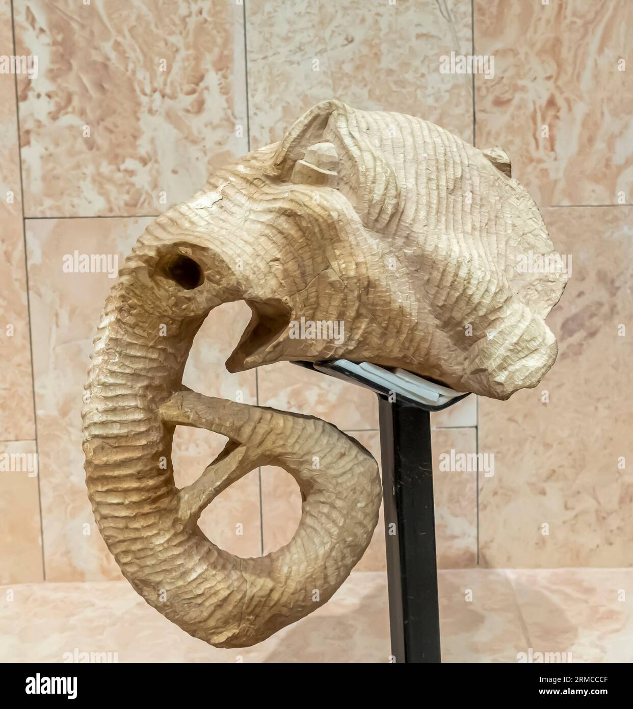 Elephant capital - The Great temple Raqmu-Petra, Nabataean, 1st century ...