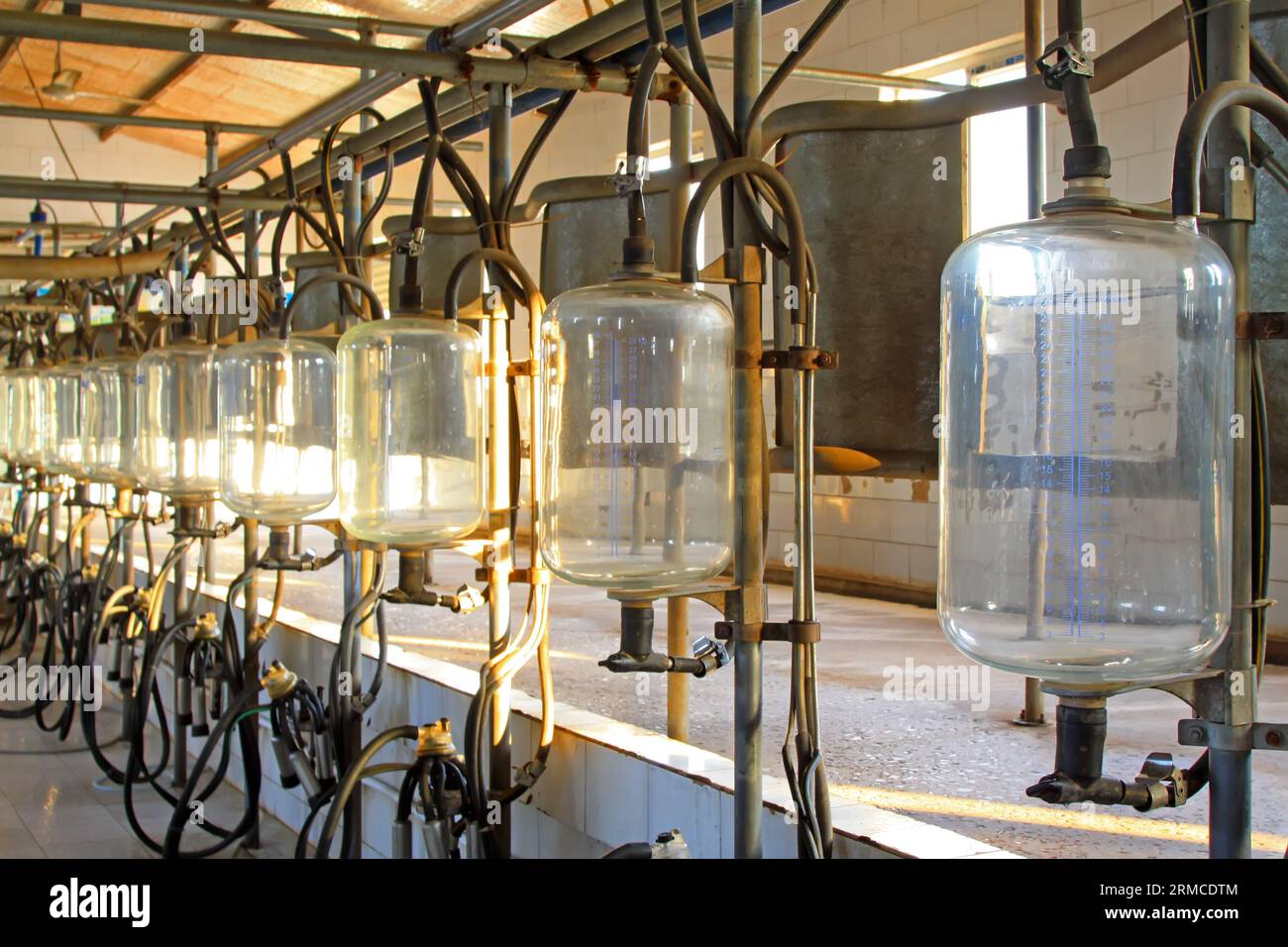 glass milk storage tank in a milking workshop, luannan county, china ...