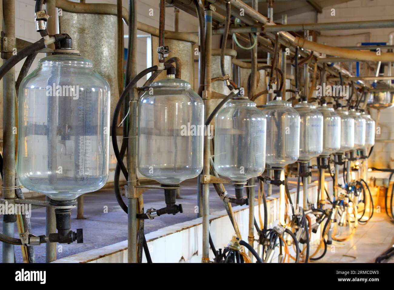 glass milk storage tank in a milking workshop, luannan county, china ...