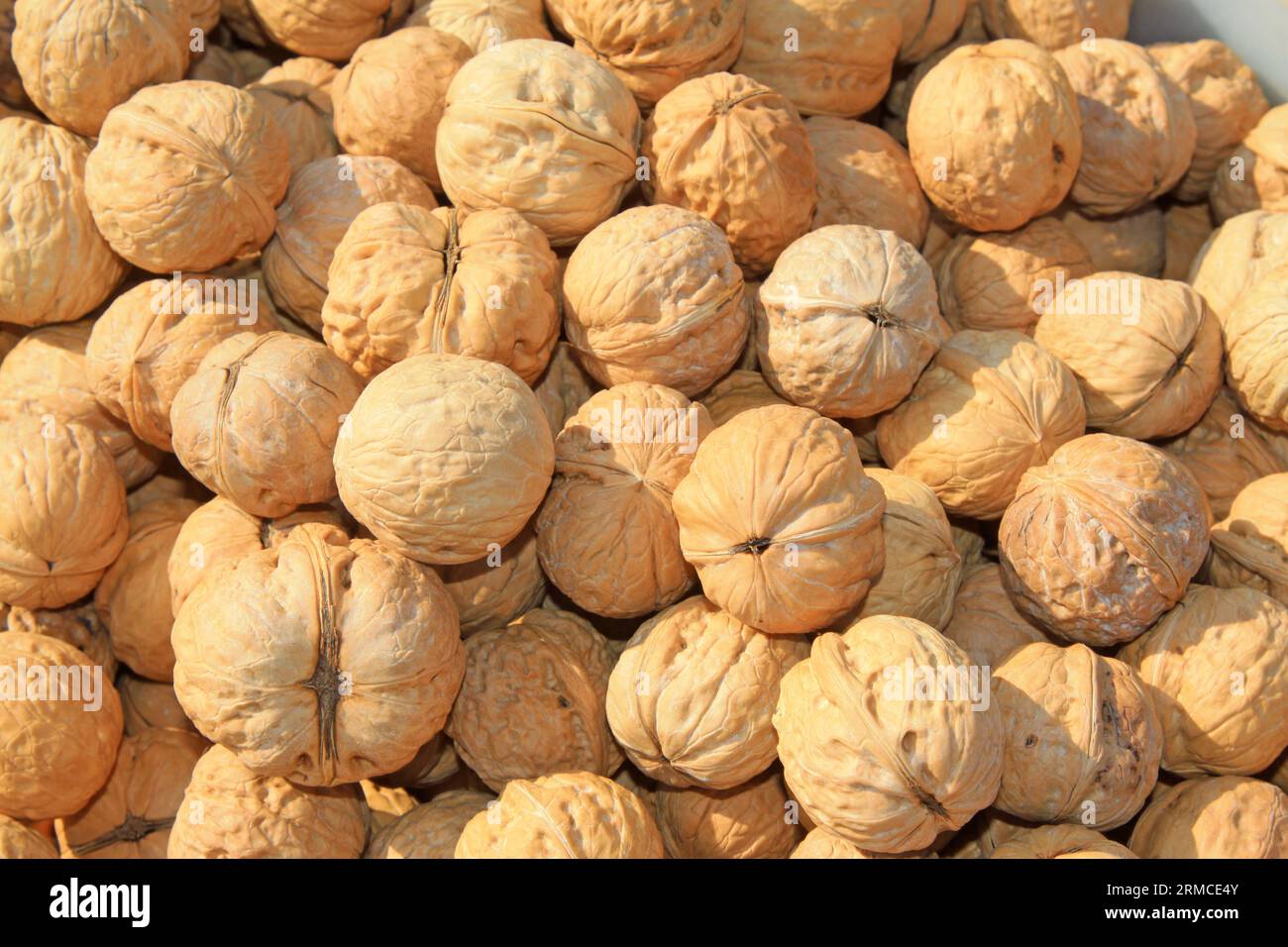 pile of walnut, delicious snacks, closeup of photo Stock Photo - Alamy