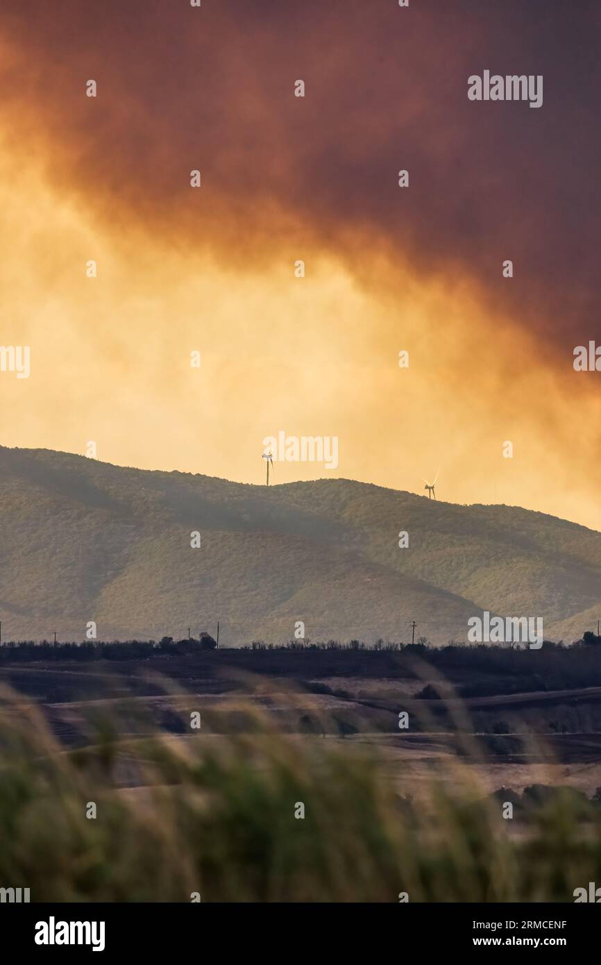 Devastating wildfire in Alexandroupolis Evros Greece, ecological and ...