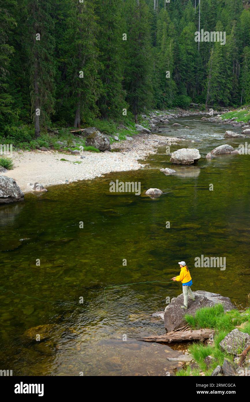 Fly fishing, Lochsa Wild and Scenic River, Clearwater National Forest ...