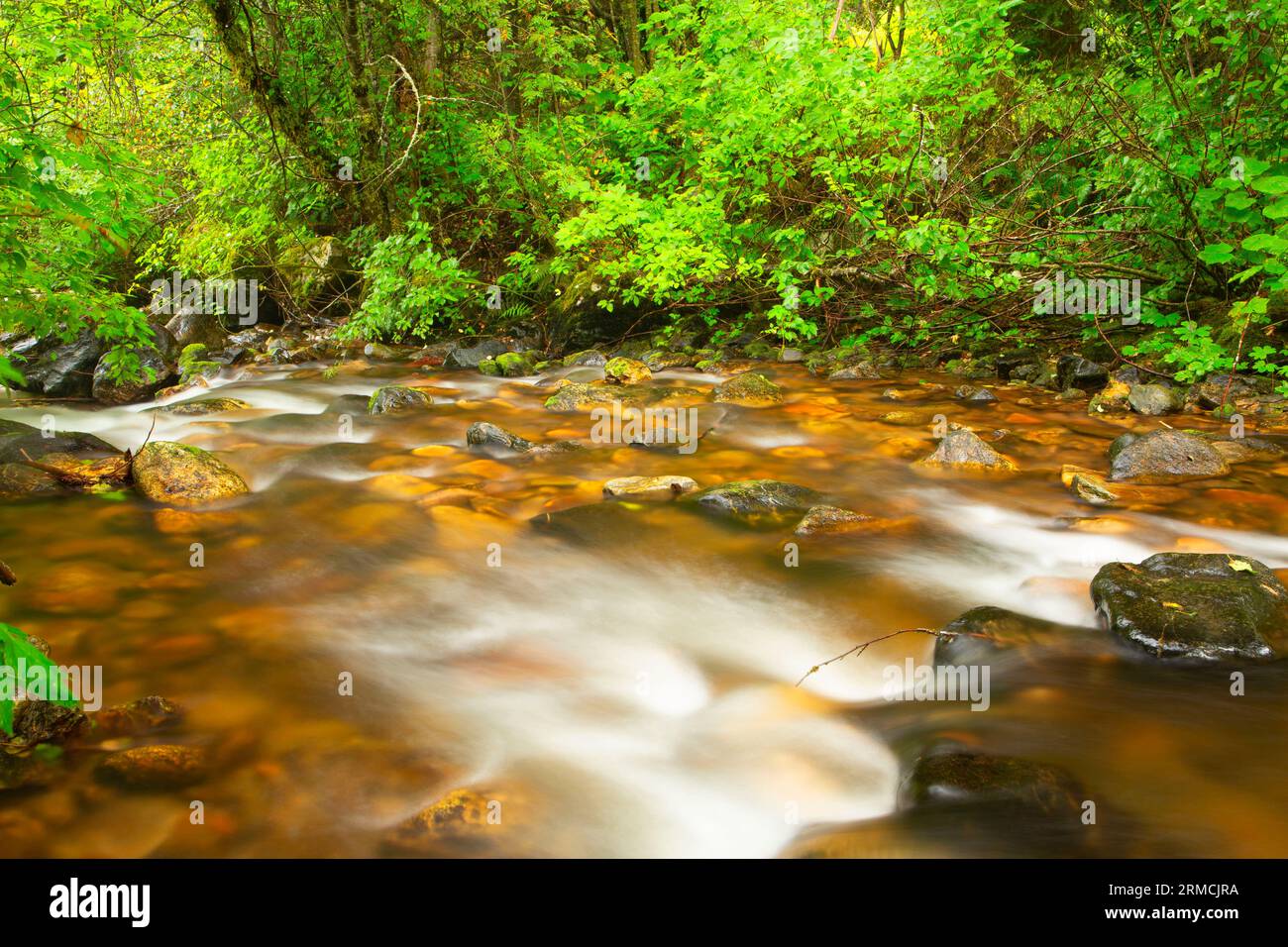 Canyon Creek, Lochsa Wild and Scenic River, Clearwater National Forest ...