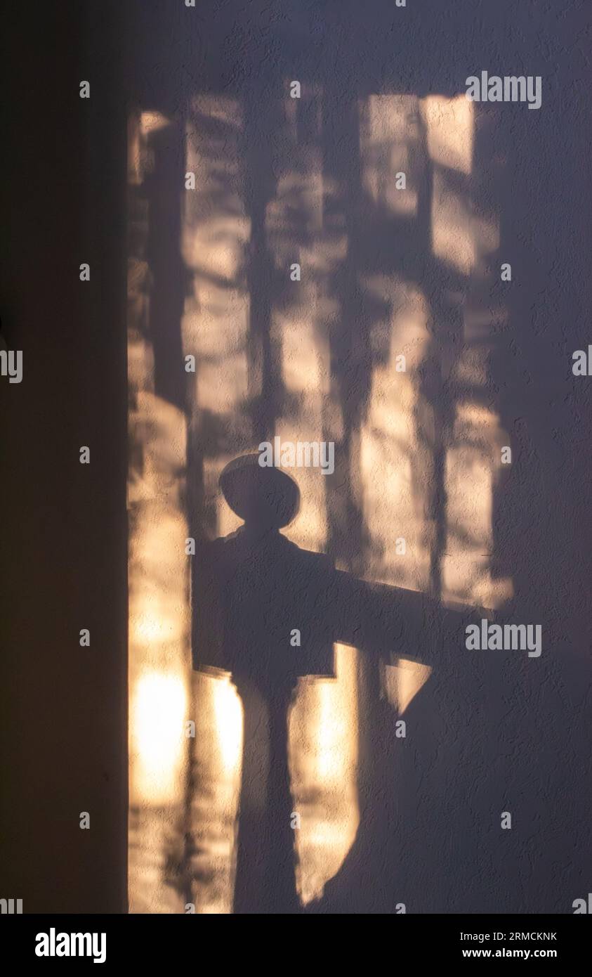 Abstract texture background of moving tree shadows through a window ...