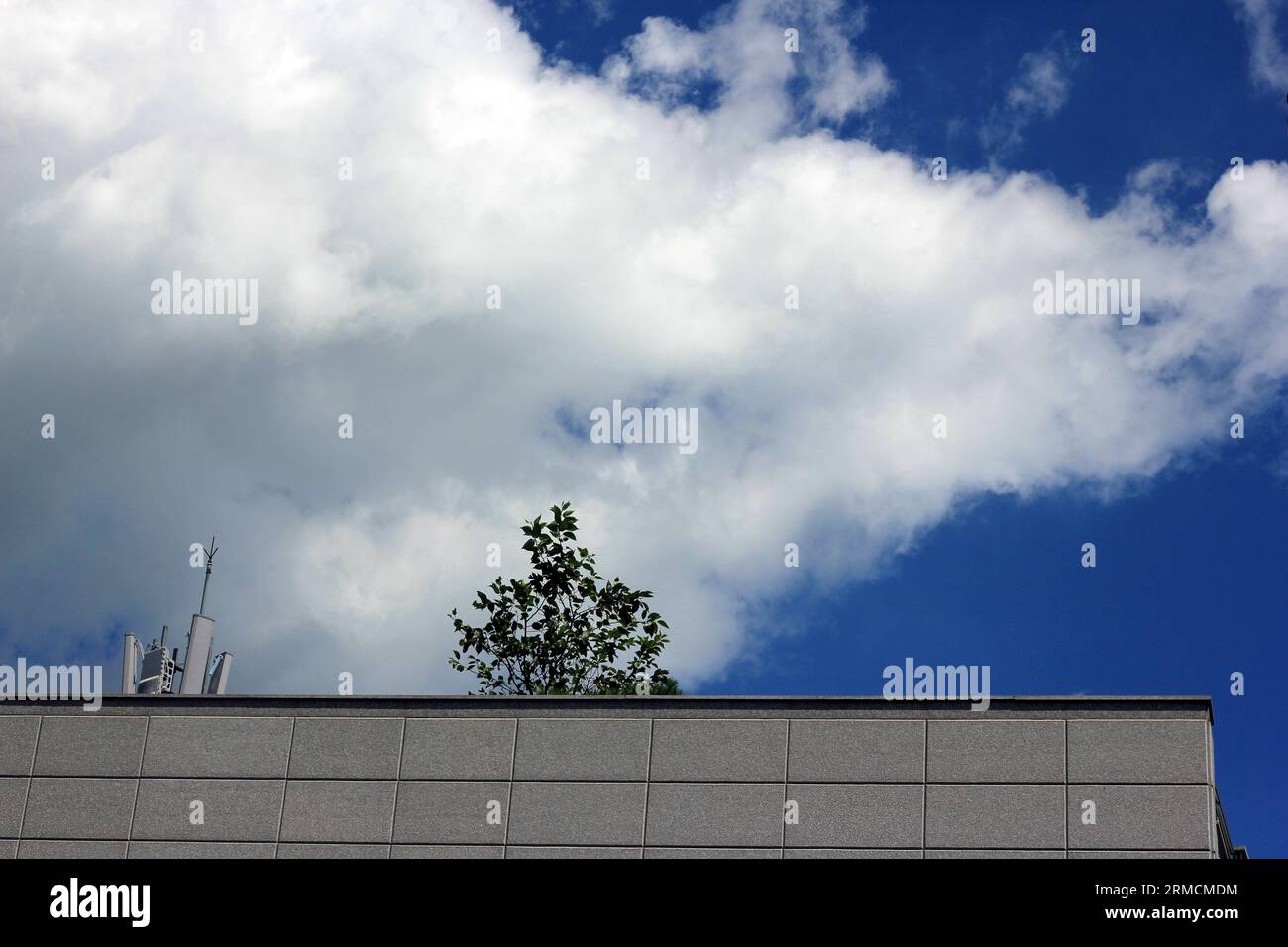 Lightning rod and tree on the roof of a building with blue sky and dark ...