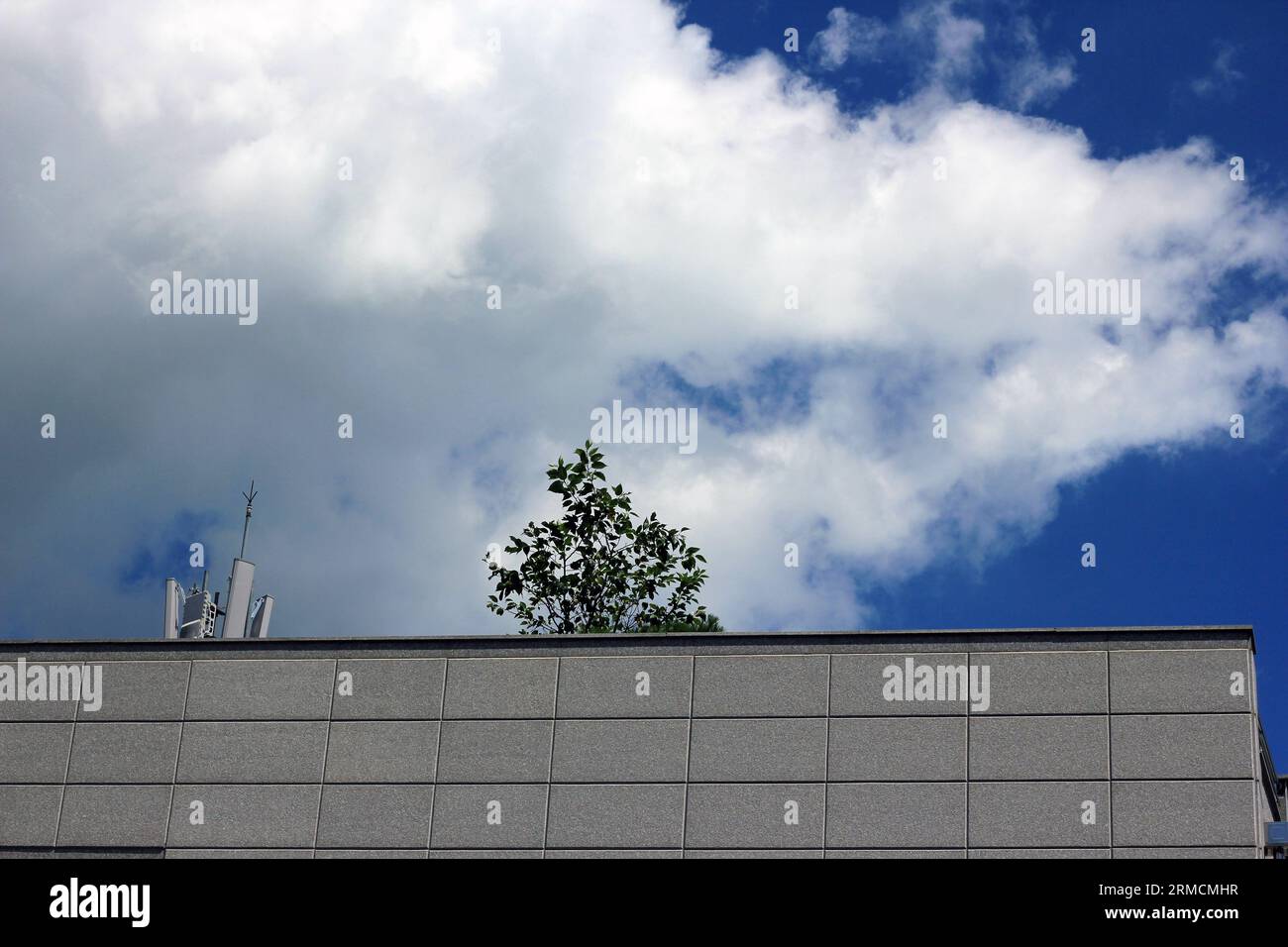 Lightning rod and tree on the roof of a building with blue sky and dark ...