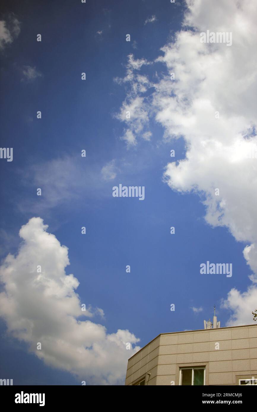 Lightning rod and tree on the roof of a building with blue sky and dark ...