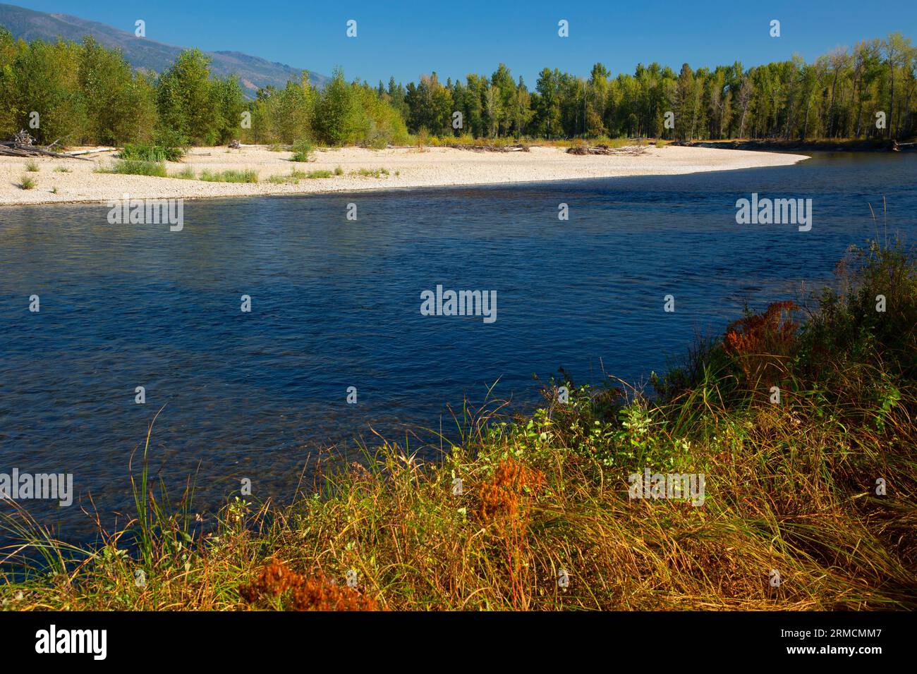 Bitterroot River, Lee Metcalf National Wildlife Refuge, Montana Stock ...