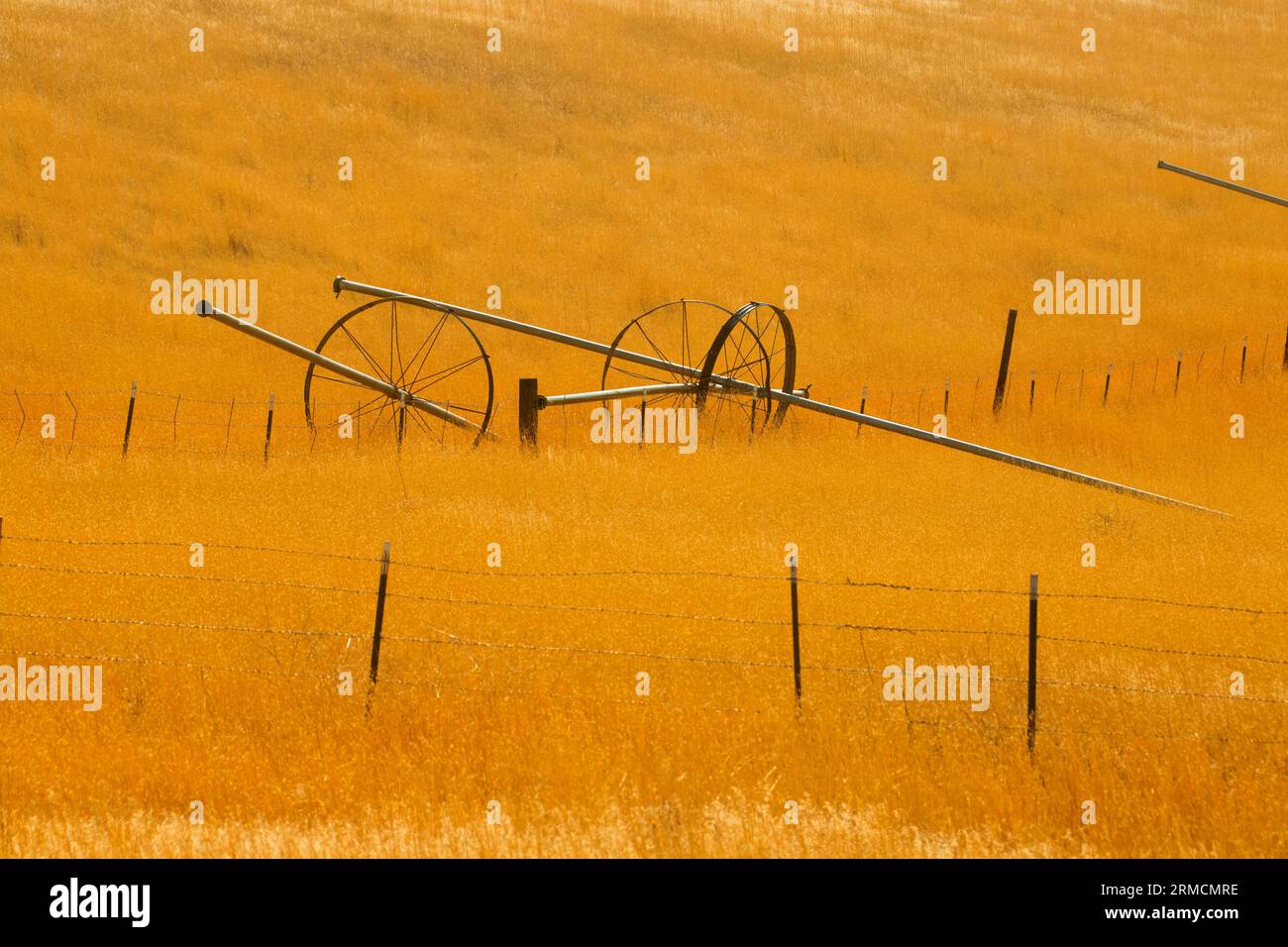 Irrigation pipe hi-res stock photography and images - Alamy