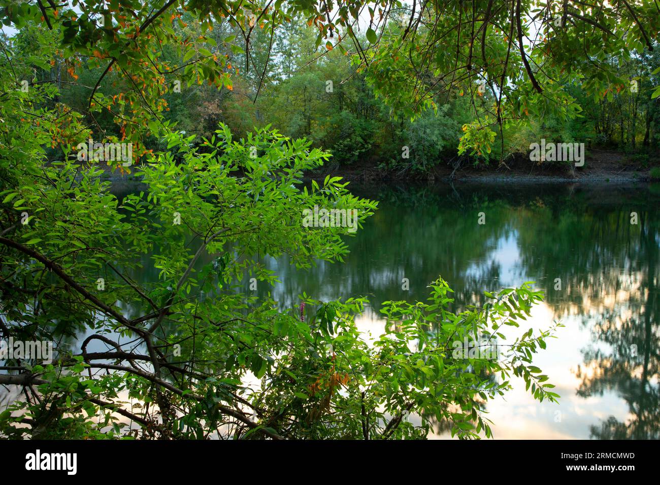 Willamette River channel, Darrow Bar Access, Willamette River Greenway ...