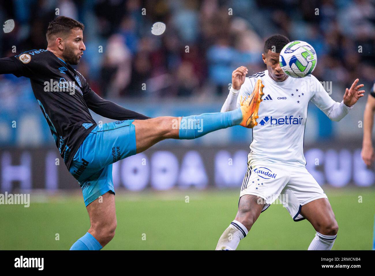 Brazilian pepe hi-res stock photography and images - Alamy