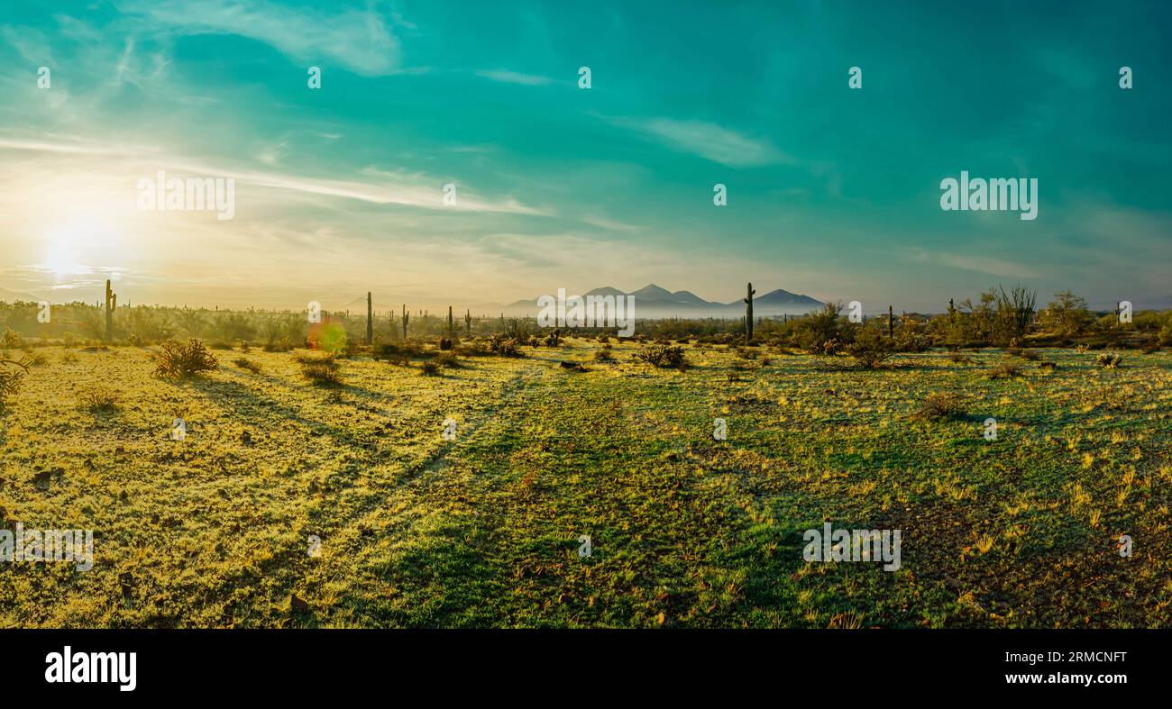 Panorama of a rare morning fog in the Phoenix Sonoran Desert Preserve ...