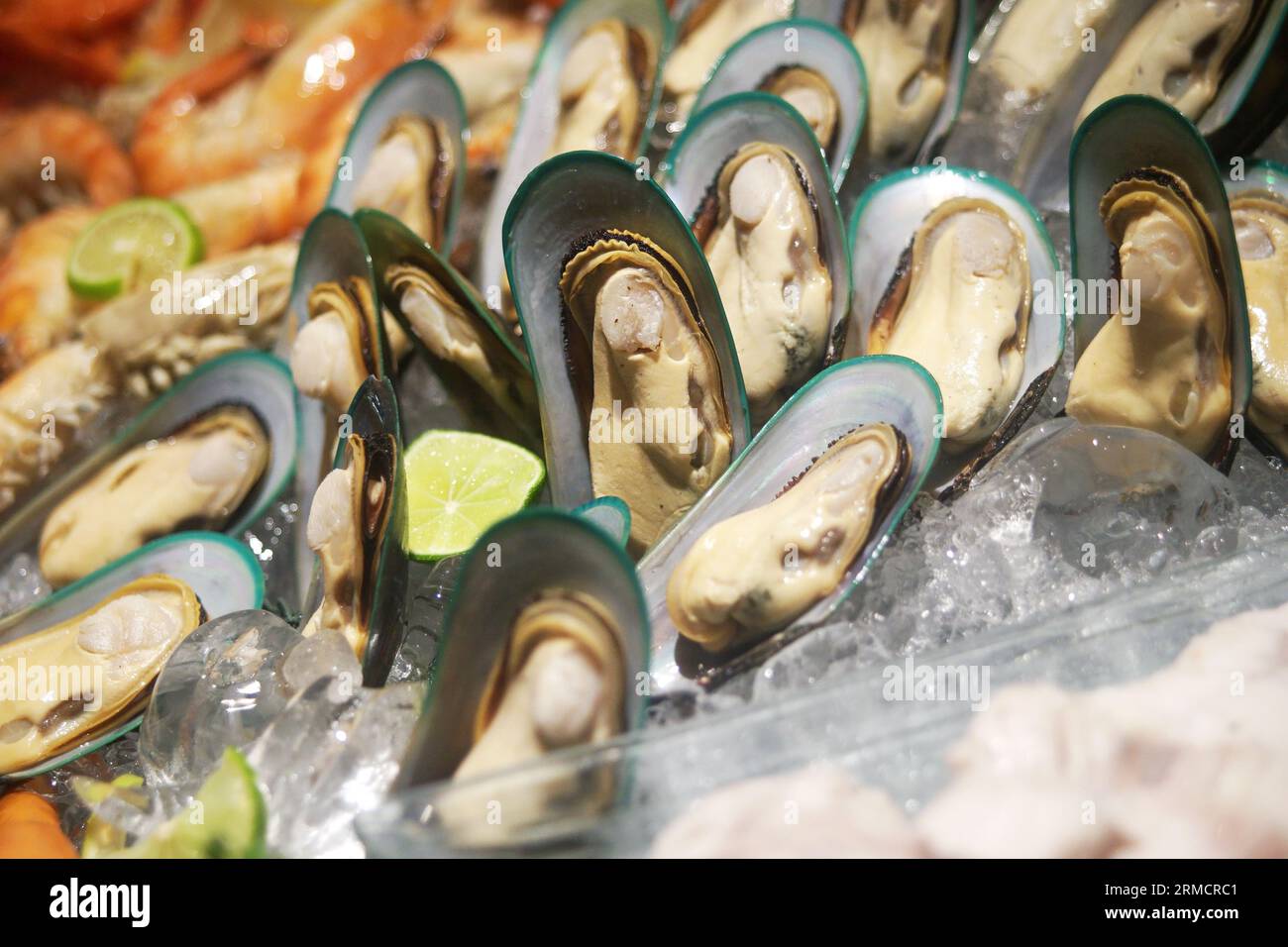 fresh mussels on buffet line in restaurant Stock Photo - Alamy