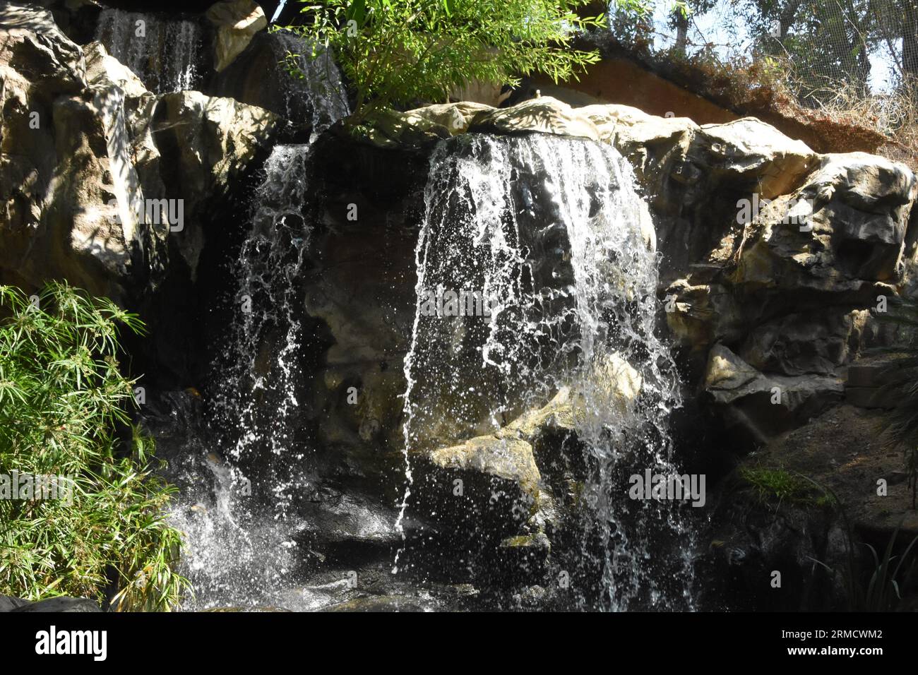 Los Angeles, California, USA 24th August 2023 Waterfall in Aviary at LA ...