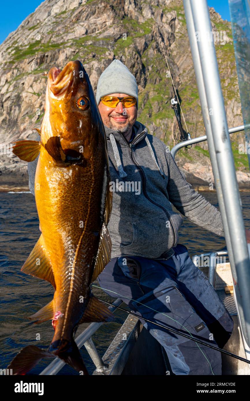 Fisherman with big cod fish. Norwegian fisherman has caught large Cod ...