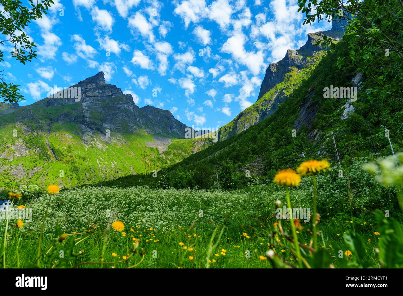 Beautiful classic Norwegian summer landscape in the month of July ...