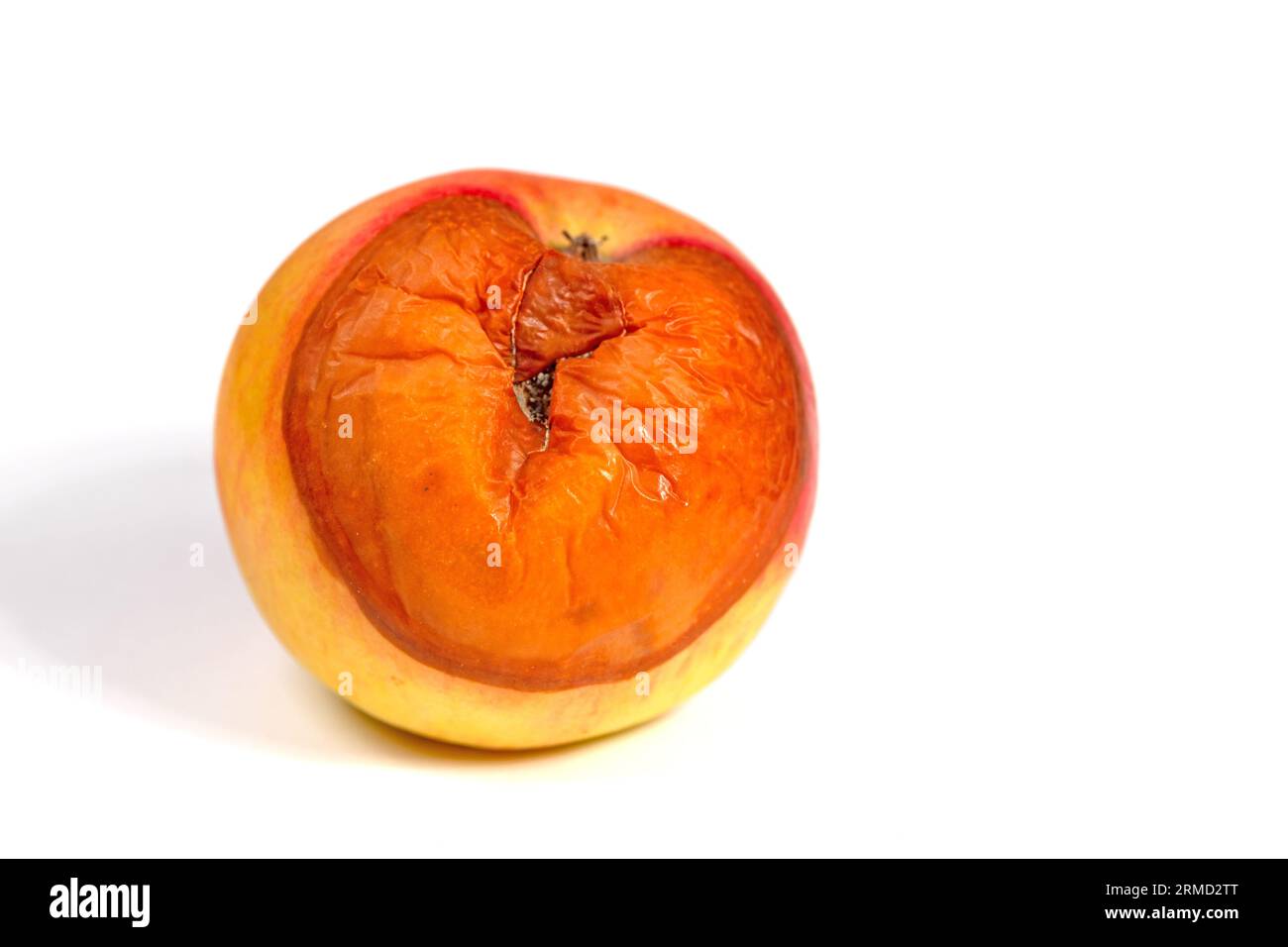 Rotting apple against white background Stock Photo - Alamy