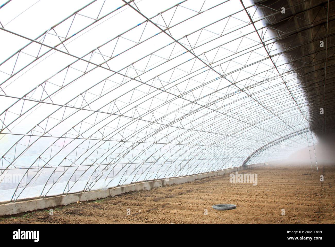 vegetable greenhouse interior landscape in rural areas, north china ...