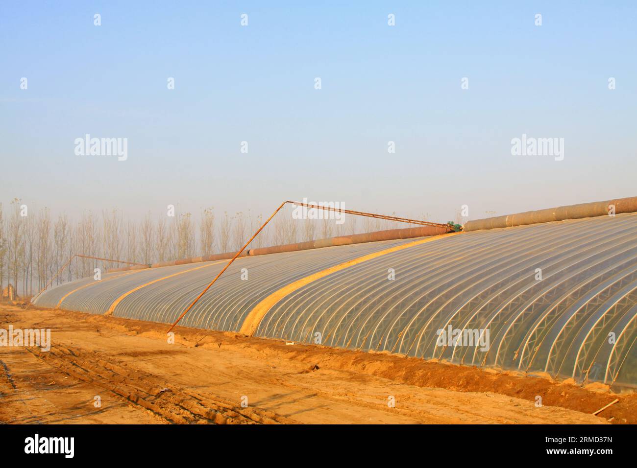 vegetable greenhouse in rural areas, north china Stock Photo - Alamy
