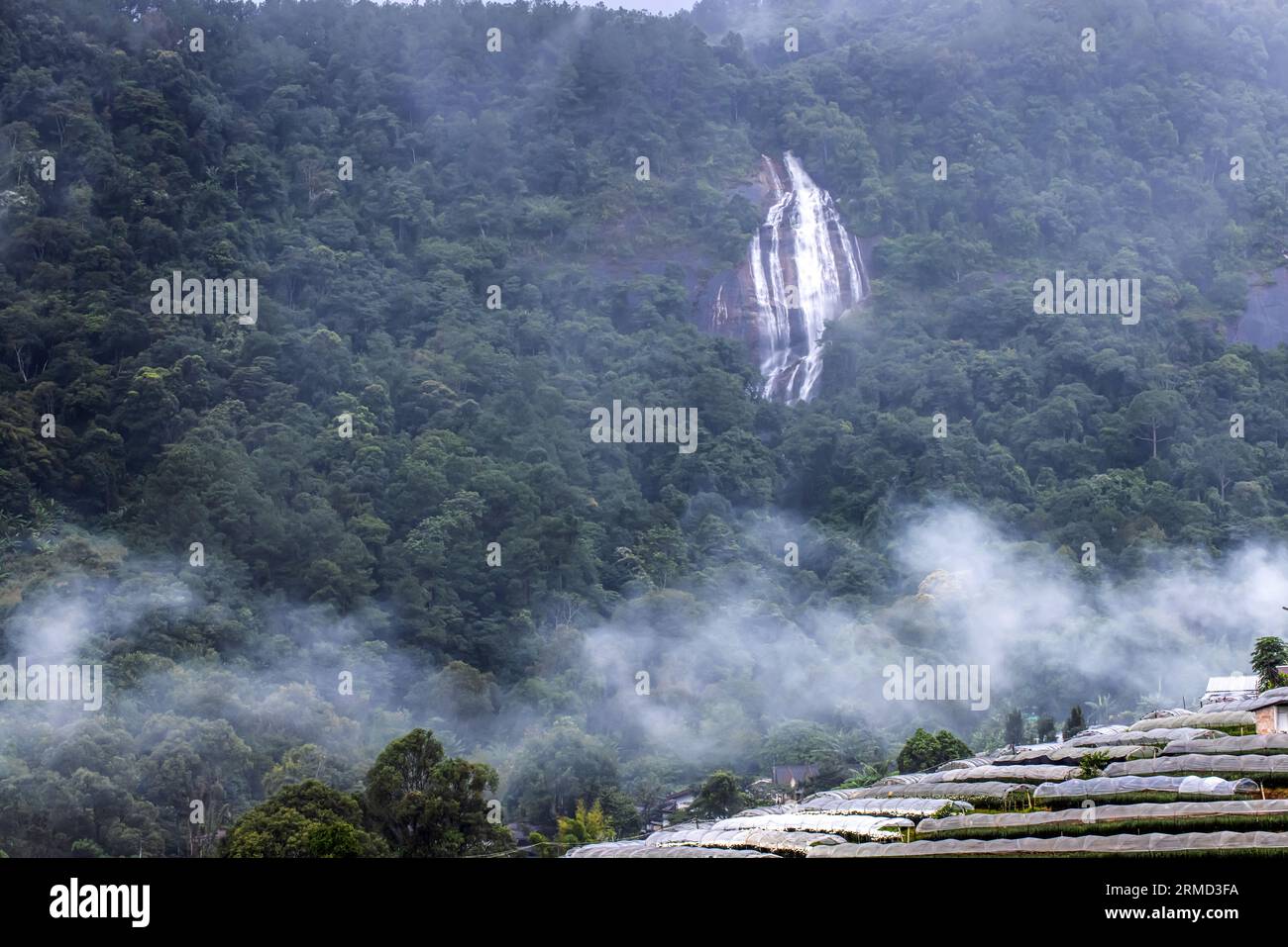 The landscape of a waterfall falling from a mountain with flowers ...