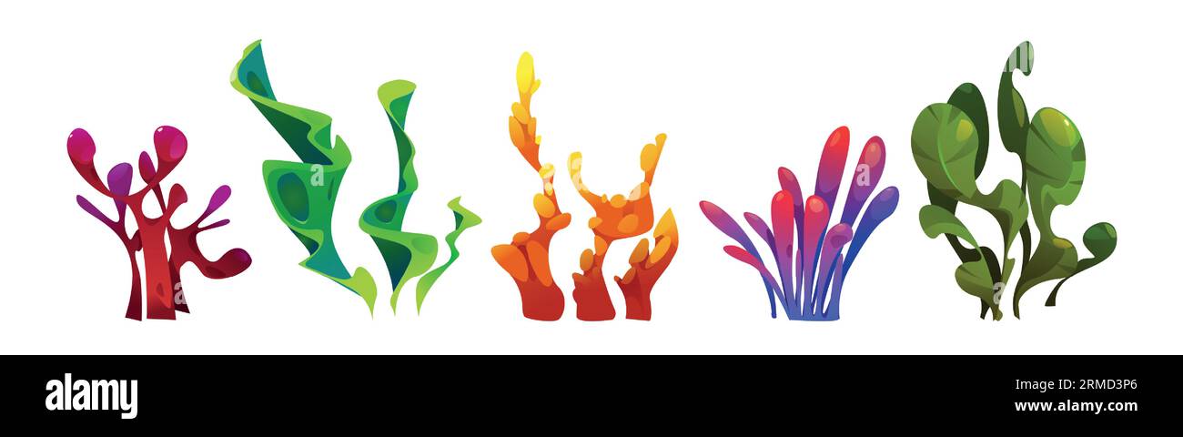 Seaweed cartoon vector set - underwater ocean and aquarium plants ...