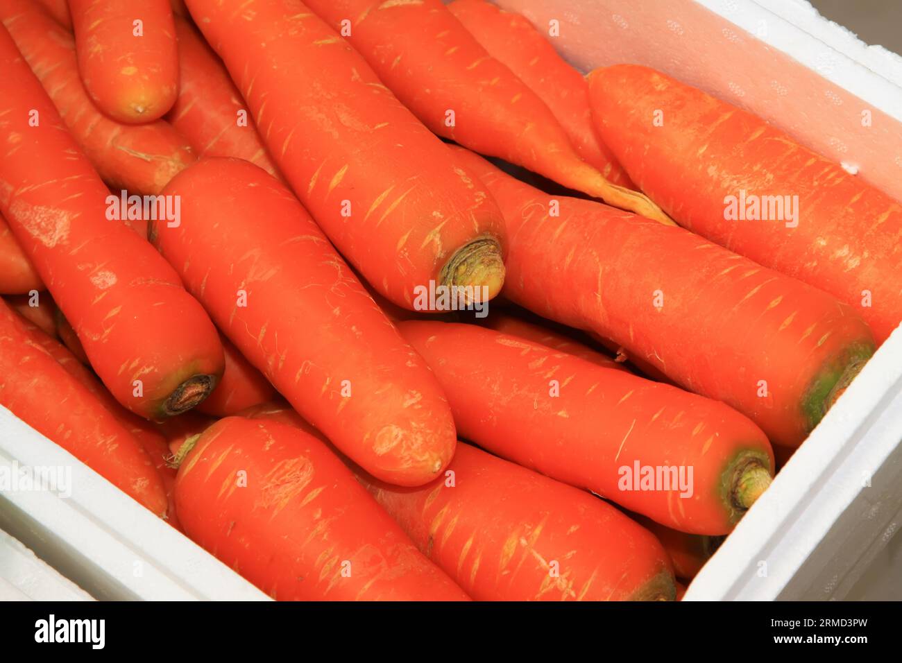 Foam box hi-res stock photography and images - Alamy