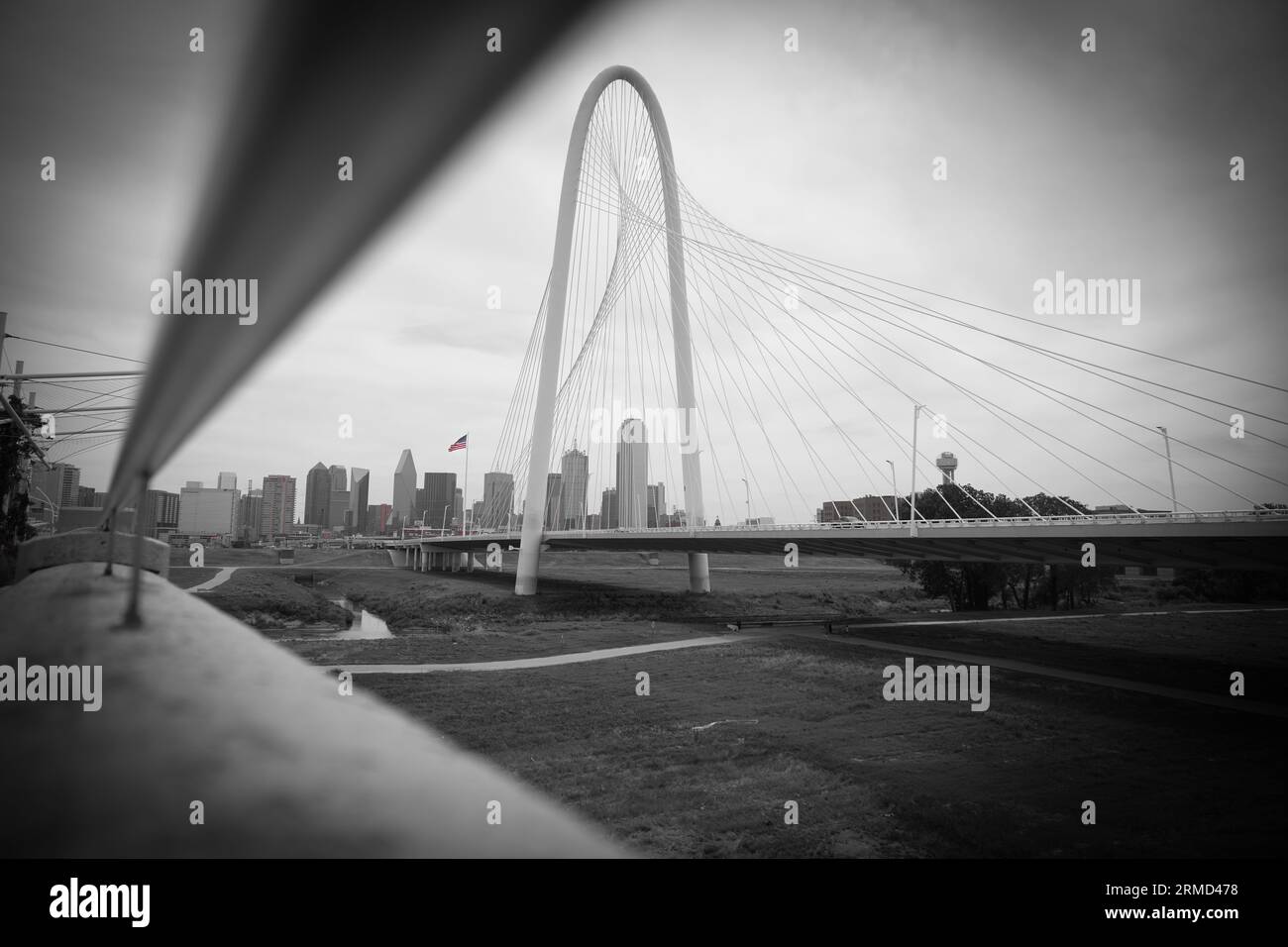 The Margaret Hunt Hill Bridge in Dallas, Texas in grayscale Stock Photo ...