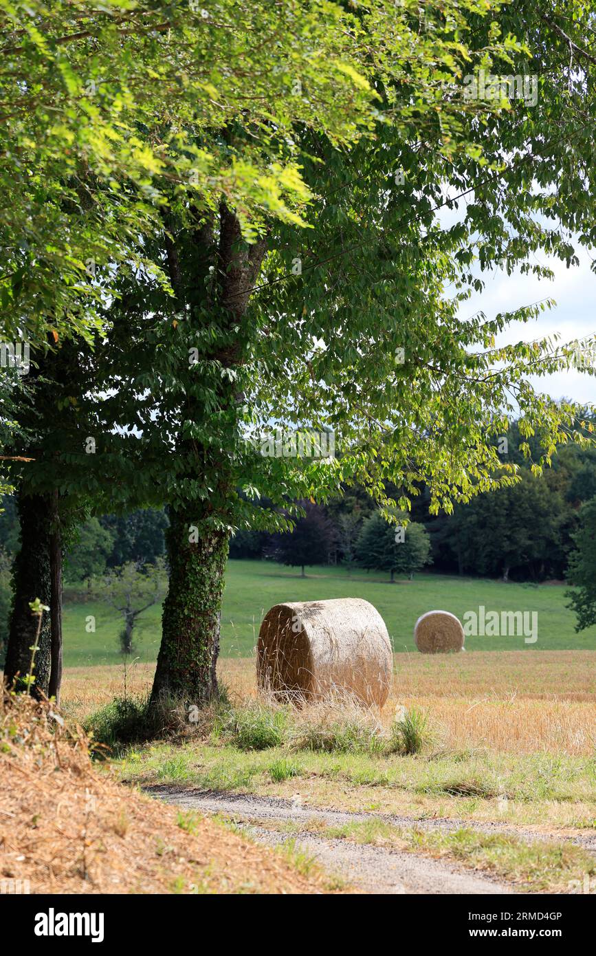 Agriculture, nature, environnement, tourisme et ruralité. Paysage de ...