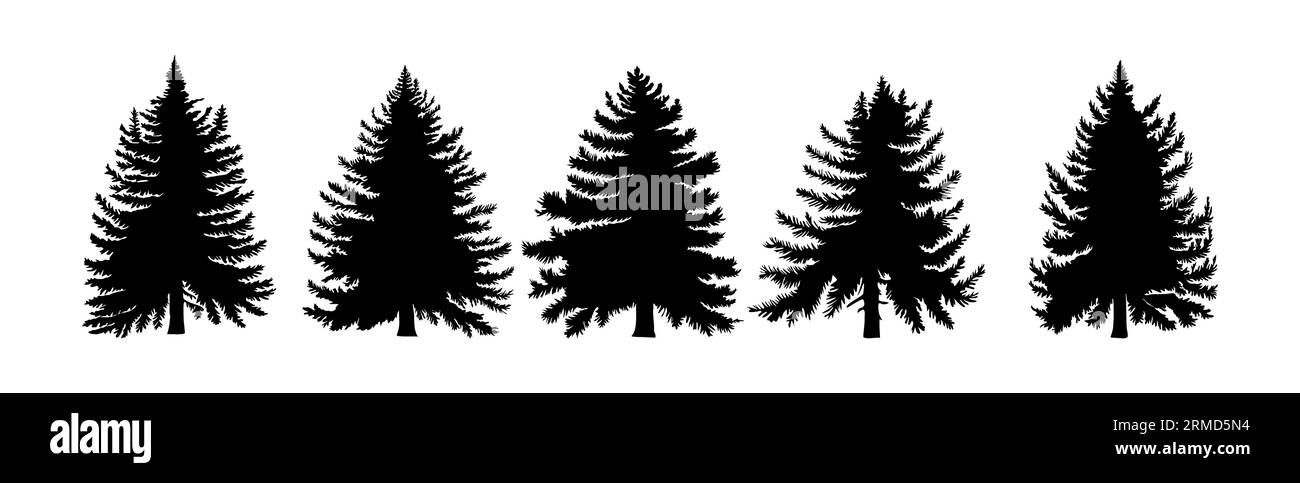 Set of Different fir tree vector silhouettes Stock Vector Image & Art ...
