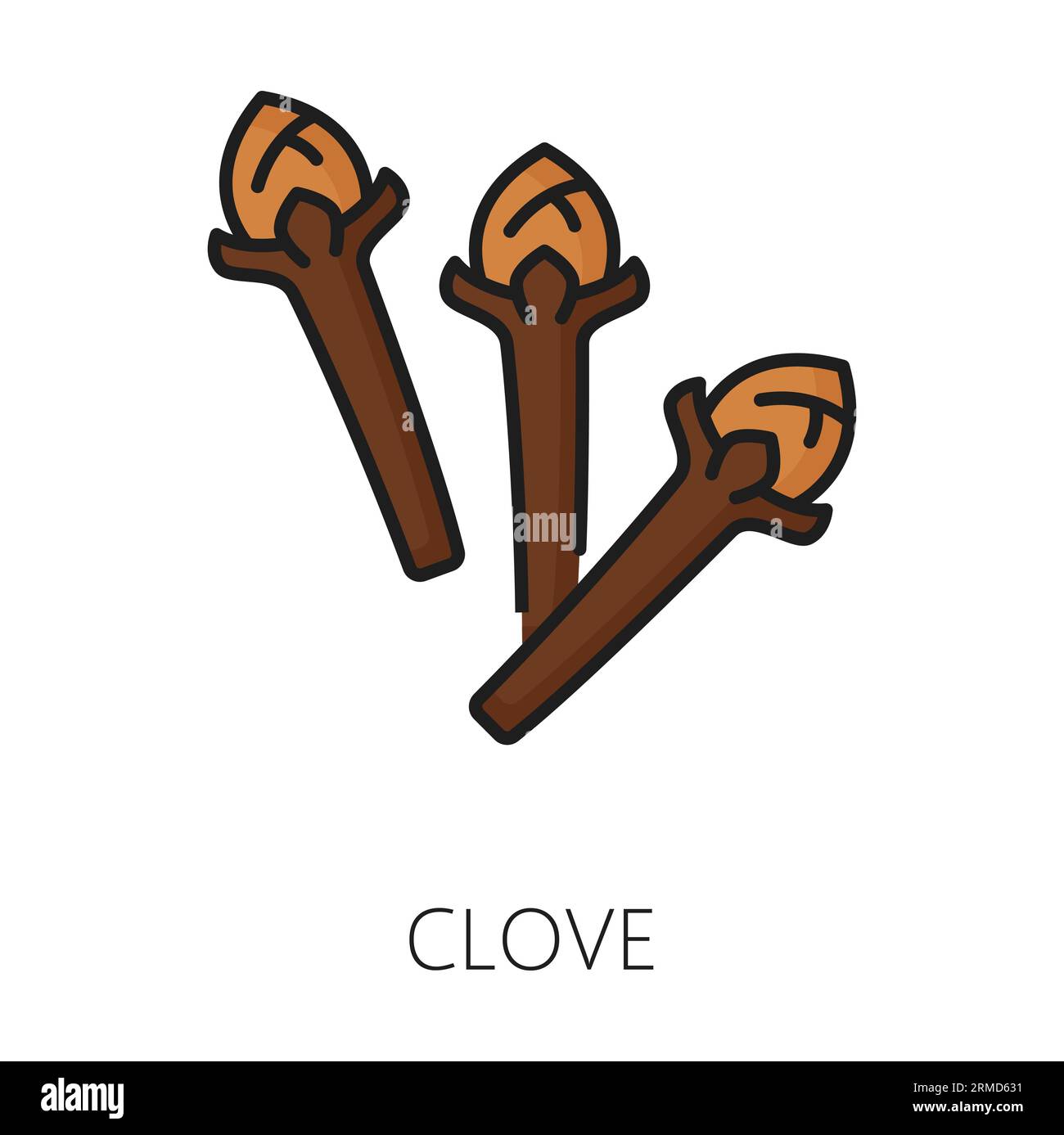 Cloves fruit herb spice seasoning condiment, buds and seeds outline ...